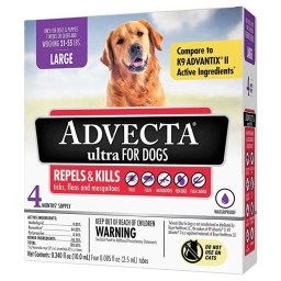 5 Best Dog Flea & Tick Medications - Dec. 2023 - BestReviews